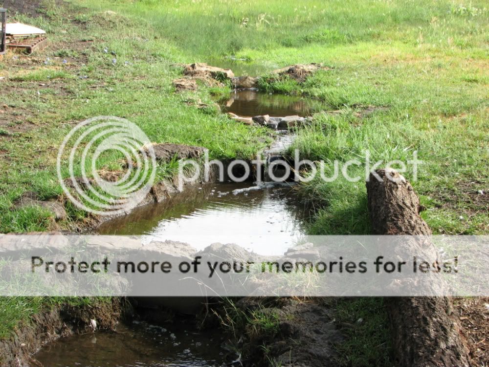 Duck Pond/pool pictures | Page 12 | BackYard Chickens - Learn How to ...